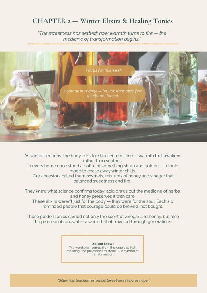 The Winter Herbal Chest – Herbal Remedies & Cozy Winter Rituals